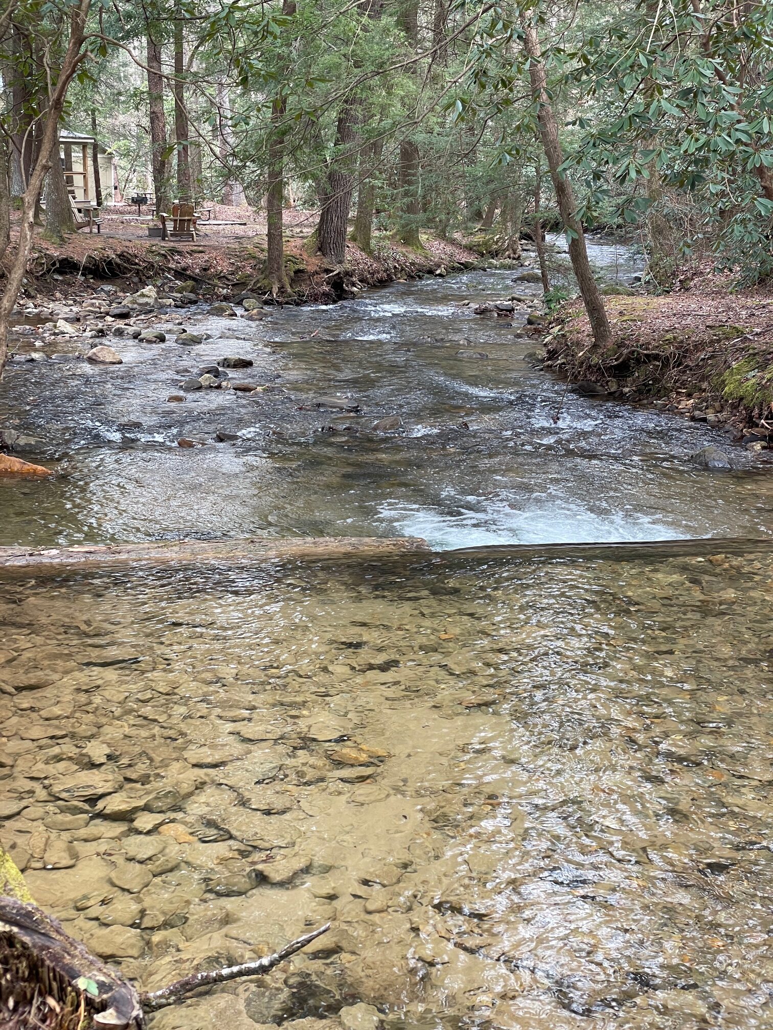 Vogel-state-park-creek-cabins | Imagine Camper