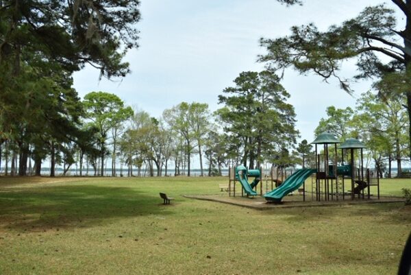 Santee State Park – SC | Imagine Camper