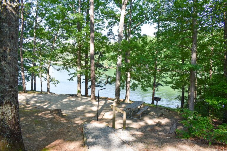 Shady Grove Campground | Imagine Camper