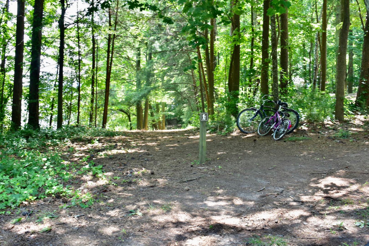 Bald Ridge Campground – 31 & 30 | Imagine Camper