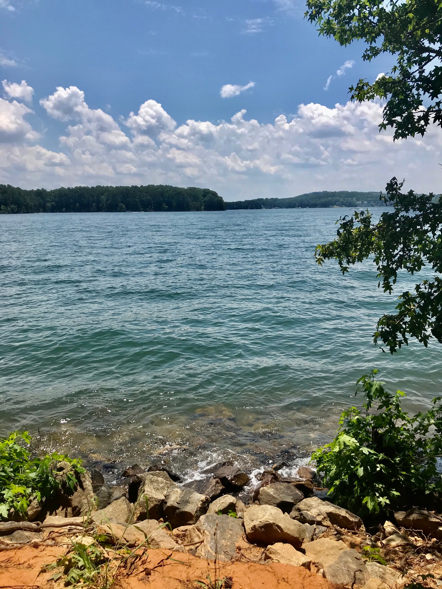 best-lake-lanier-campground | Imagine Camper