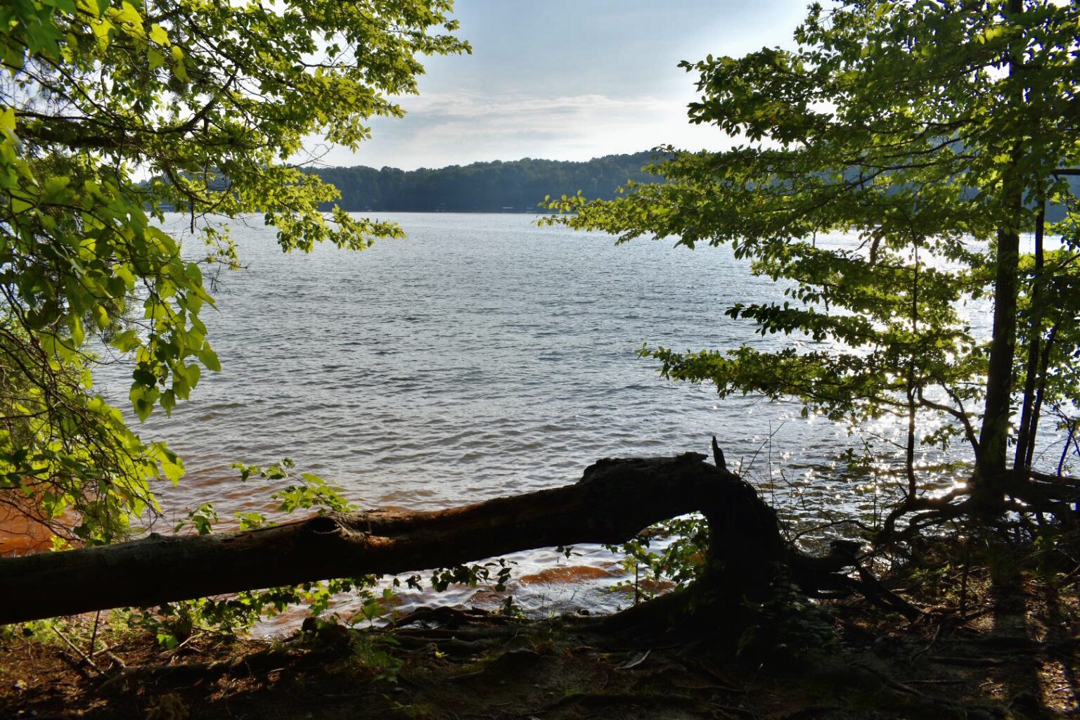 Bald Ridge Campground – 31 & 30 | Imagine Camper