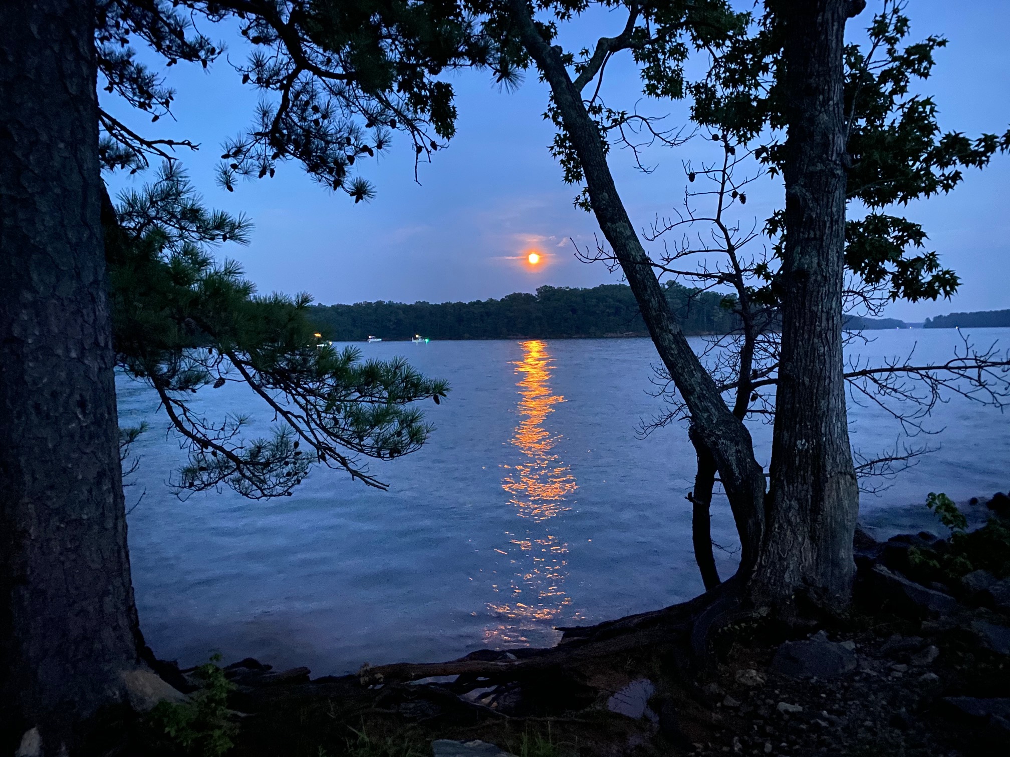 Bald Ridge Campground | Imagine Camper