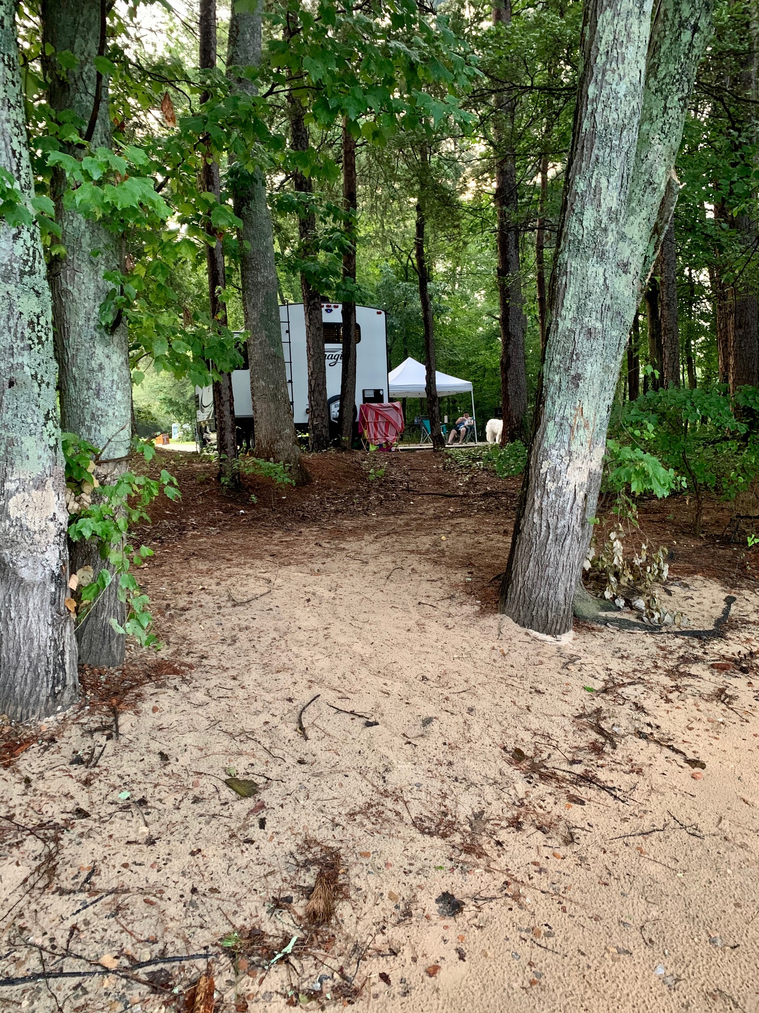 Bald Ridge Campground – 69 | Imagine Camper