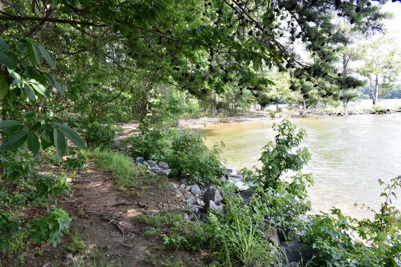 Bald Ridge Campground – 31 & 30 | Imagine Camper