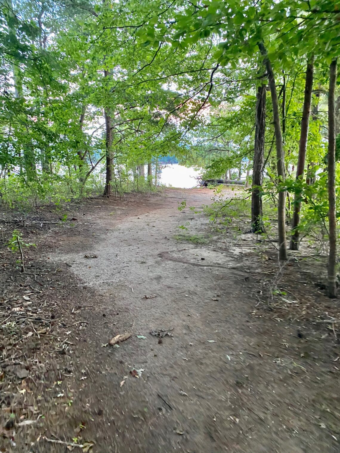 Bald Ridge Campground – 31 & 30 | Imagine Camper