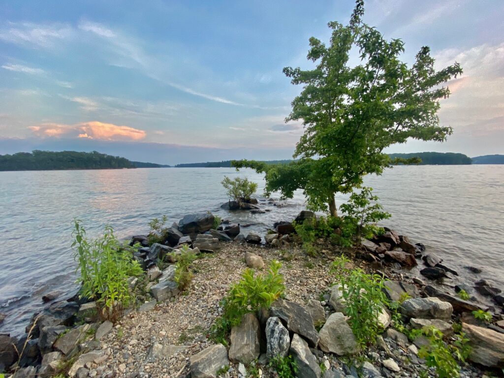 Bald Ridge Campground – 31 & 30 | Imagine Camper