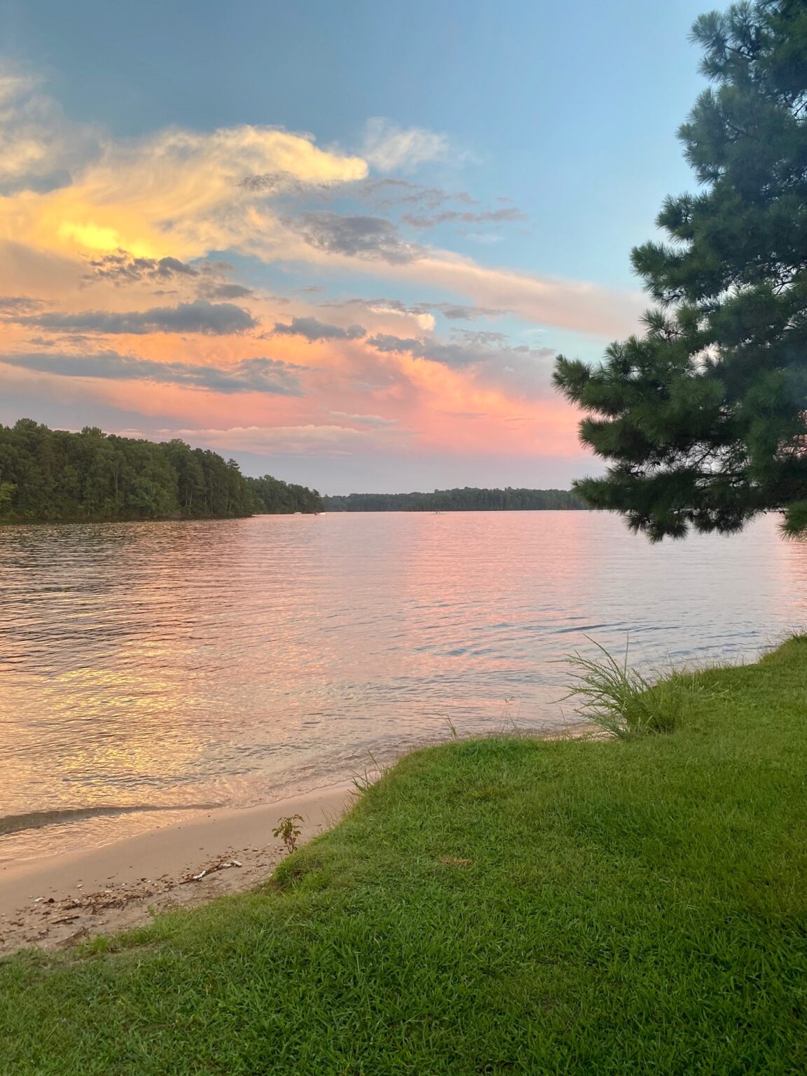 Bald Ridge Campground – 44 | Imagine Camper