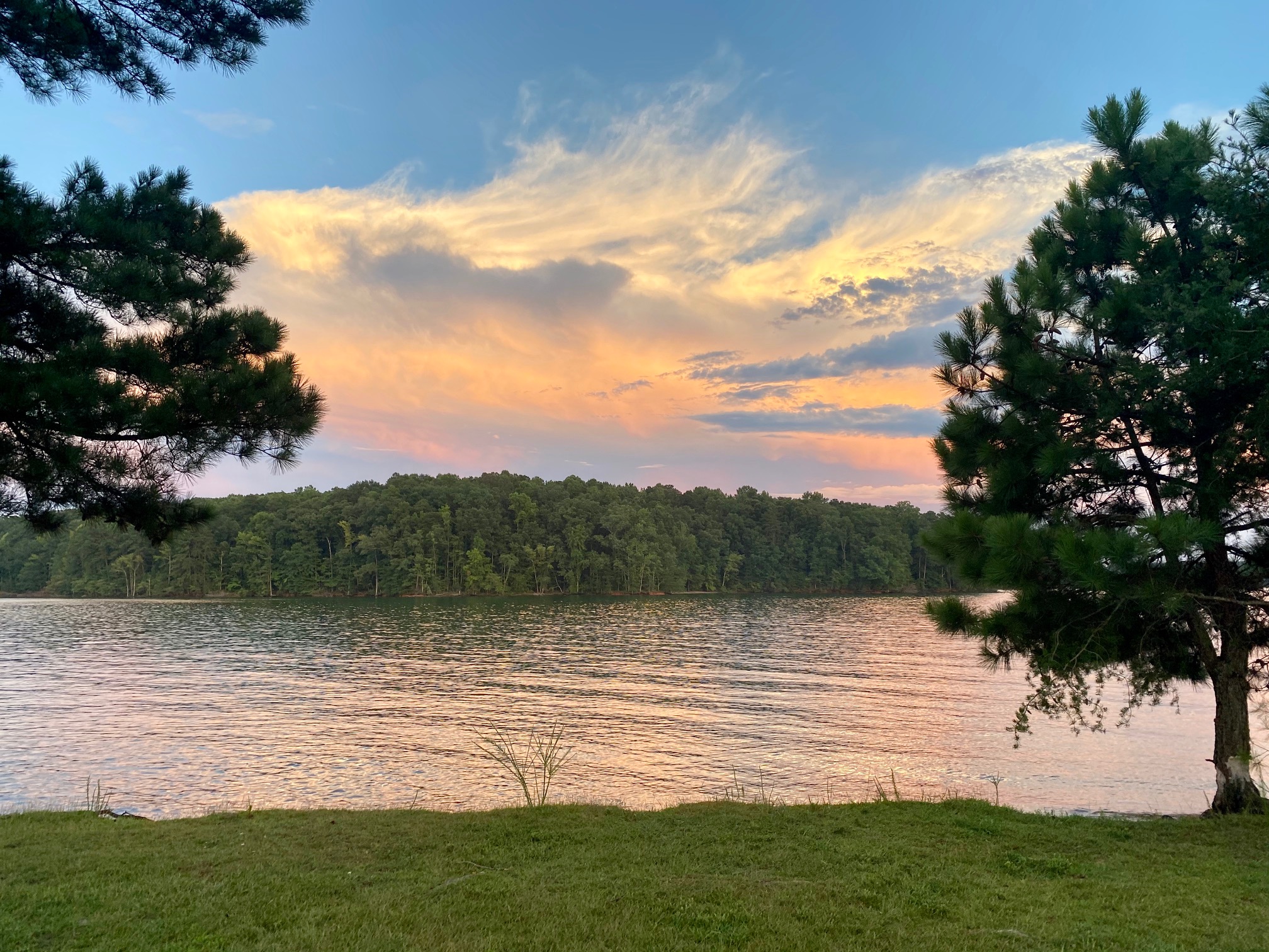 Bald Ridge Campground – 44 | Imagine Camper