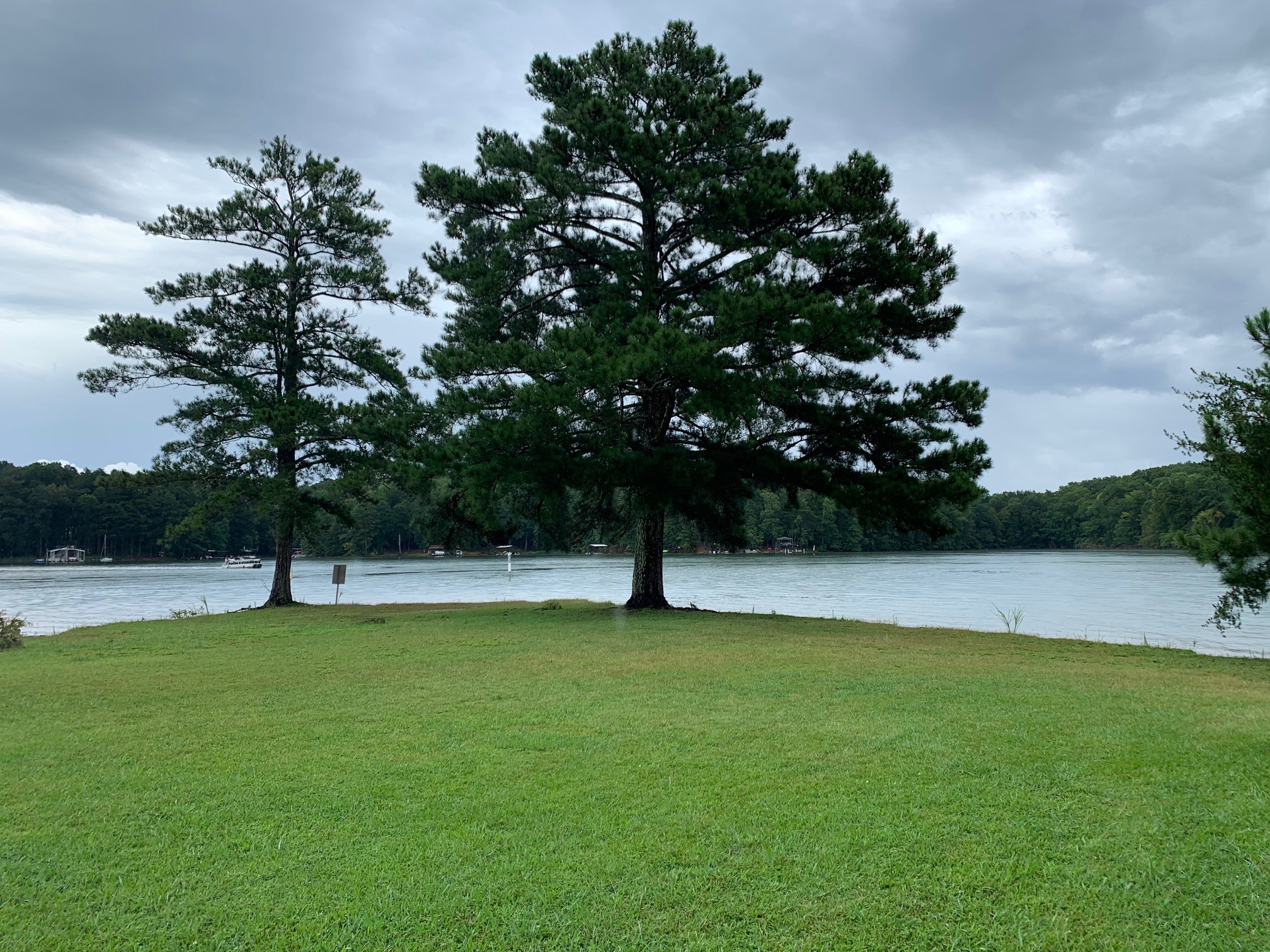 site-44-trees-bald-ridge-campground | Imagine Camper