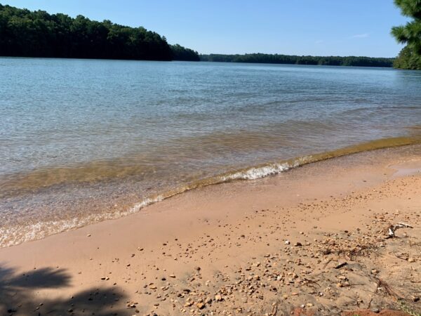 Bald Ridge Campground – 44 | Imagine Camper