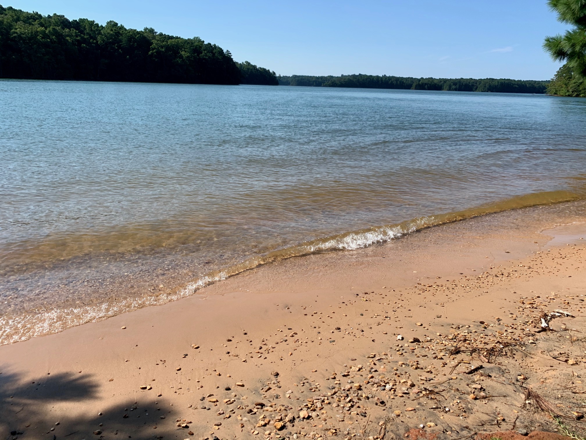 Bald Ridge Campground – 44 | Imagine Camper