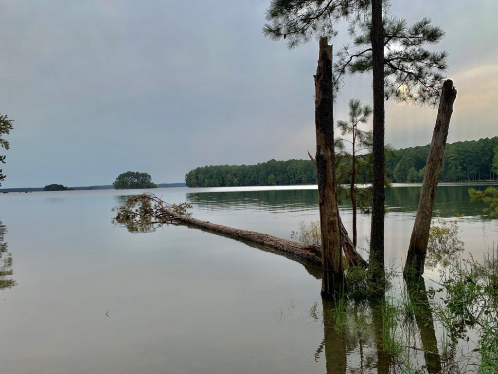 Hamilton Branch State Park | Imagine Camper