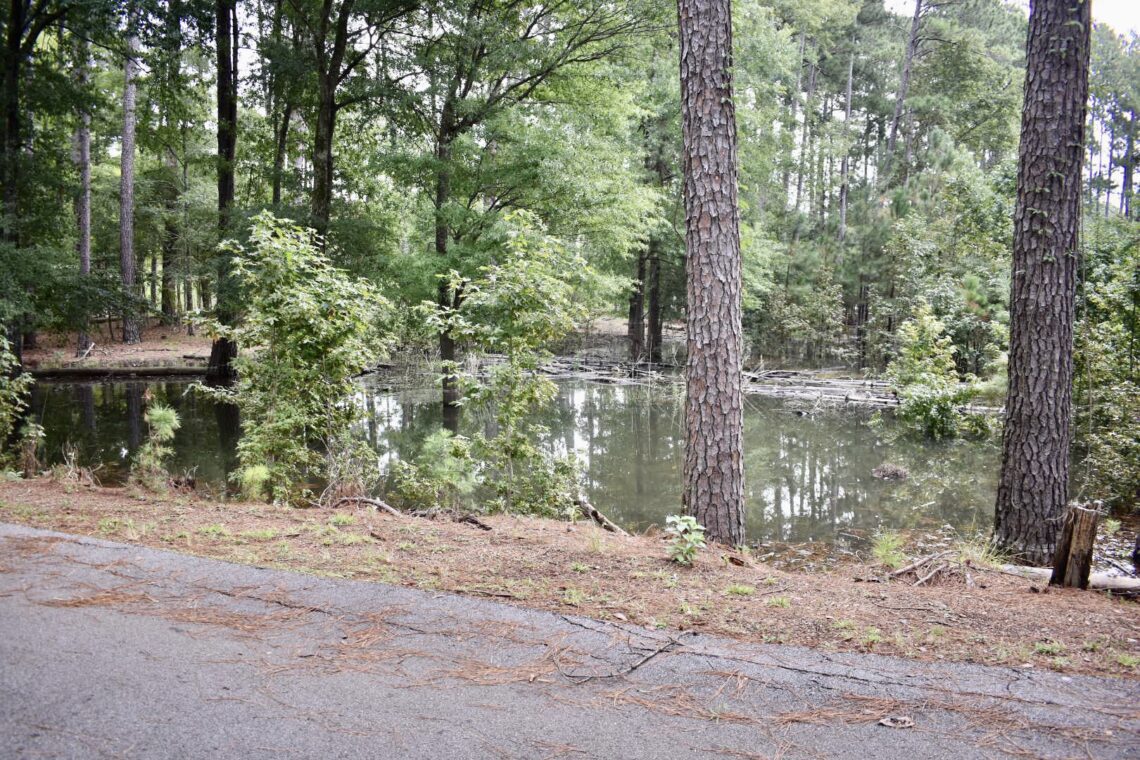 Hamilton Branch State Park | Imagine Camper