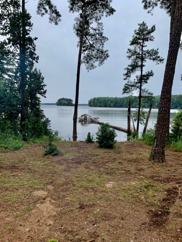 Hamilton Branch State Park | Imagine Camper