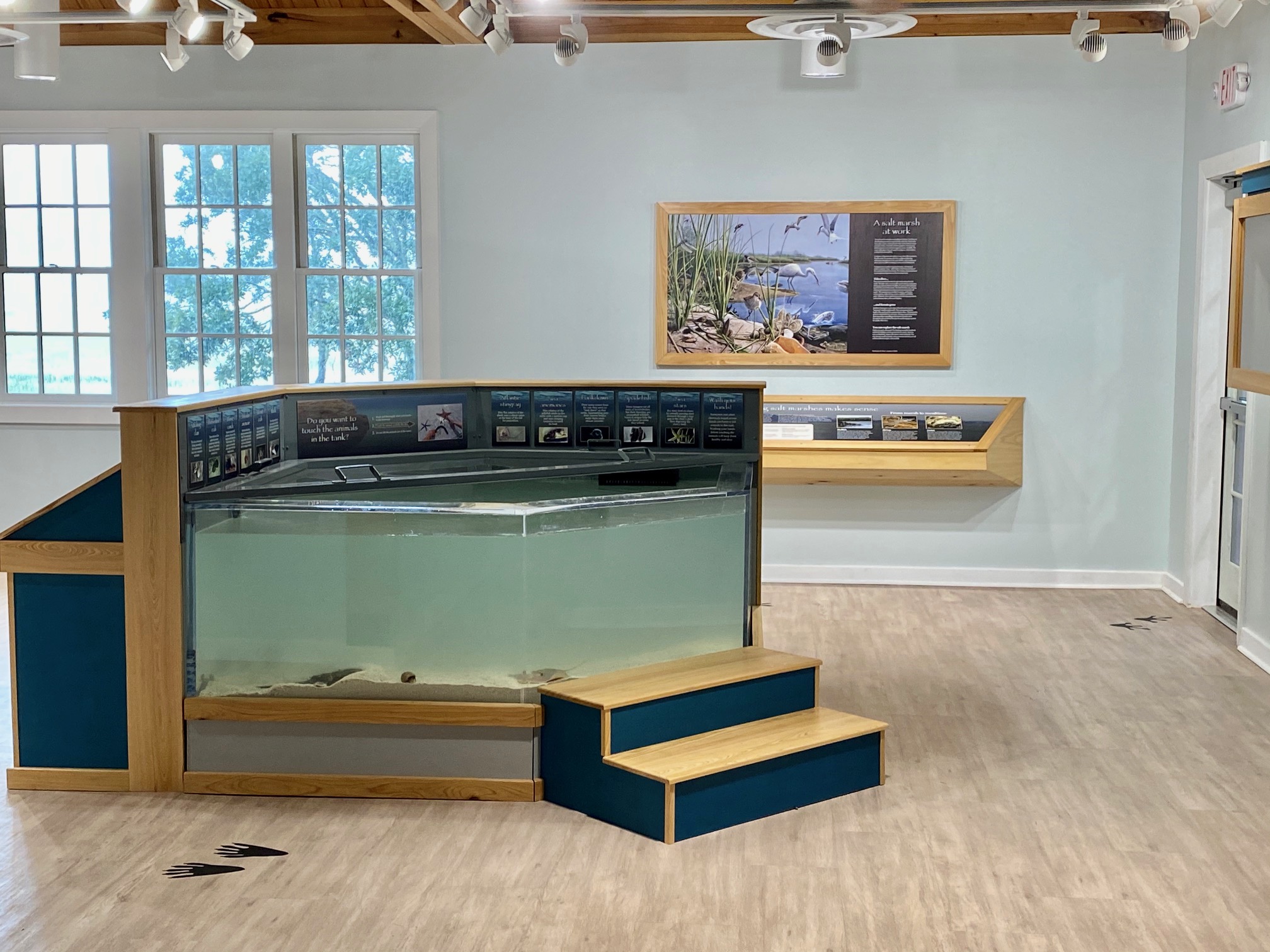 turtles-nature-center-huntington-beach | Imagine Camper