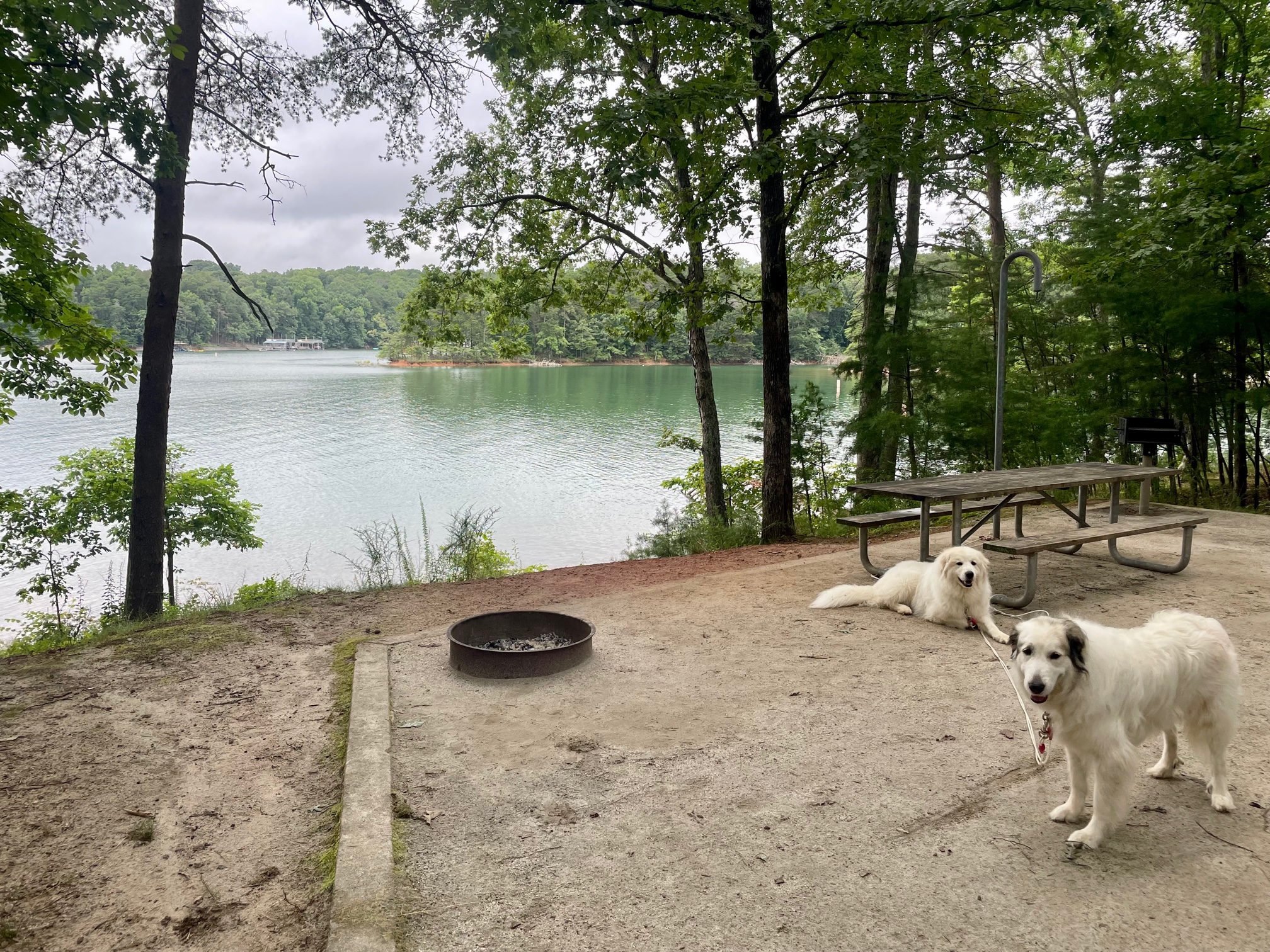 Duckett-Mill-Campground-site-3-campfire | Imagine Camper