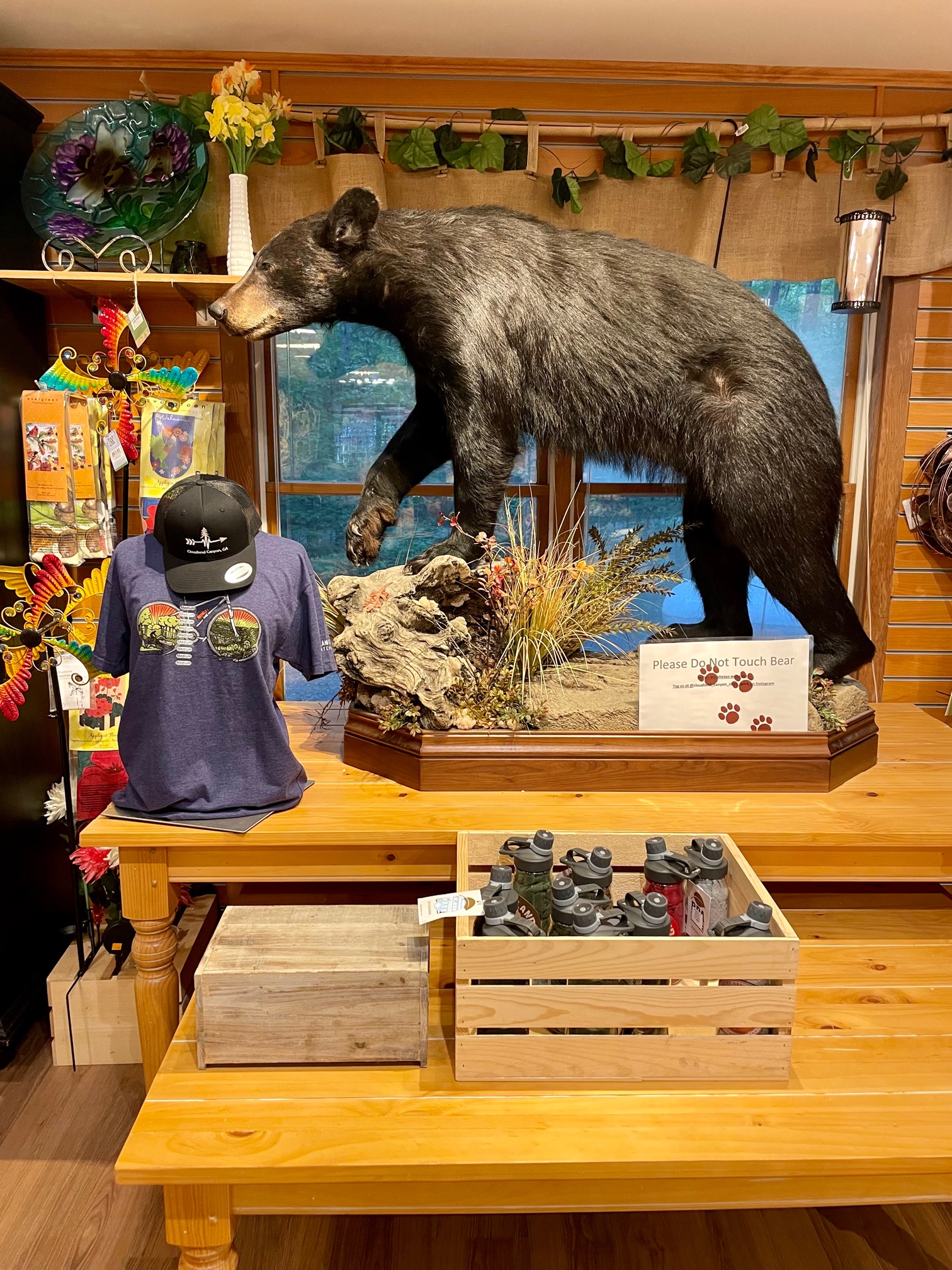 store-Cloudland-Canyon-state-park | Imagine Camper