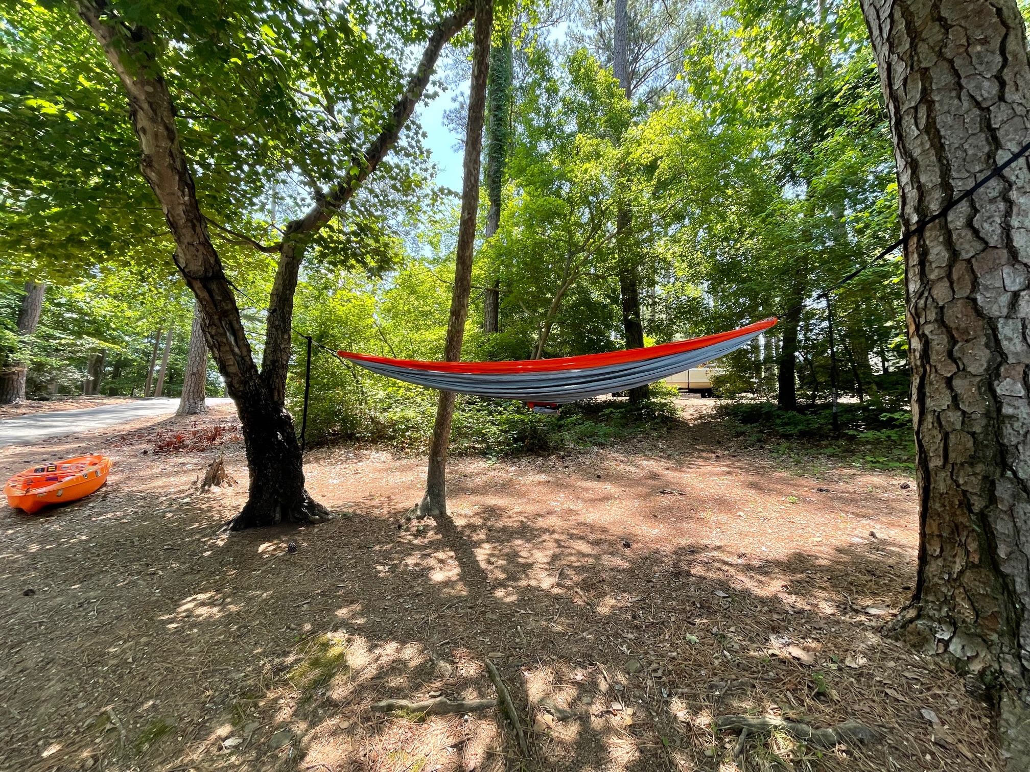 clark-creek-north-campground-22-hammock-trees | Imagine Camper