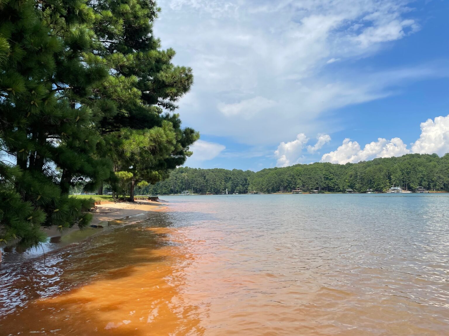 Bald Ridge Campground – 43 | Imagine Camper