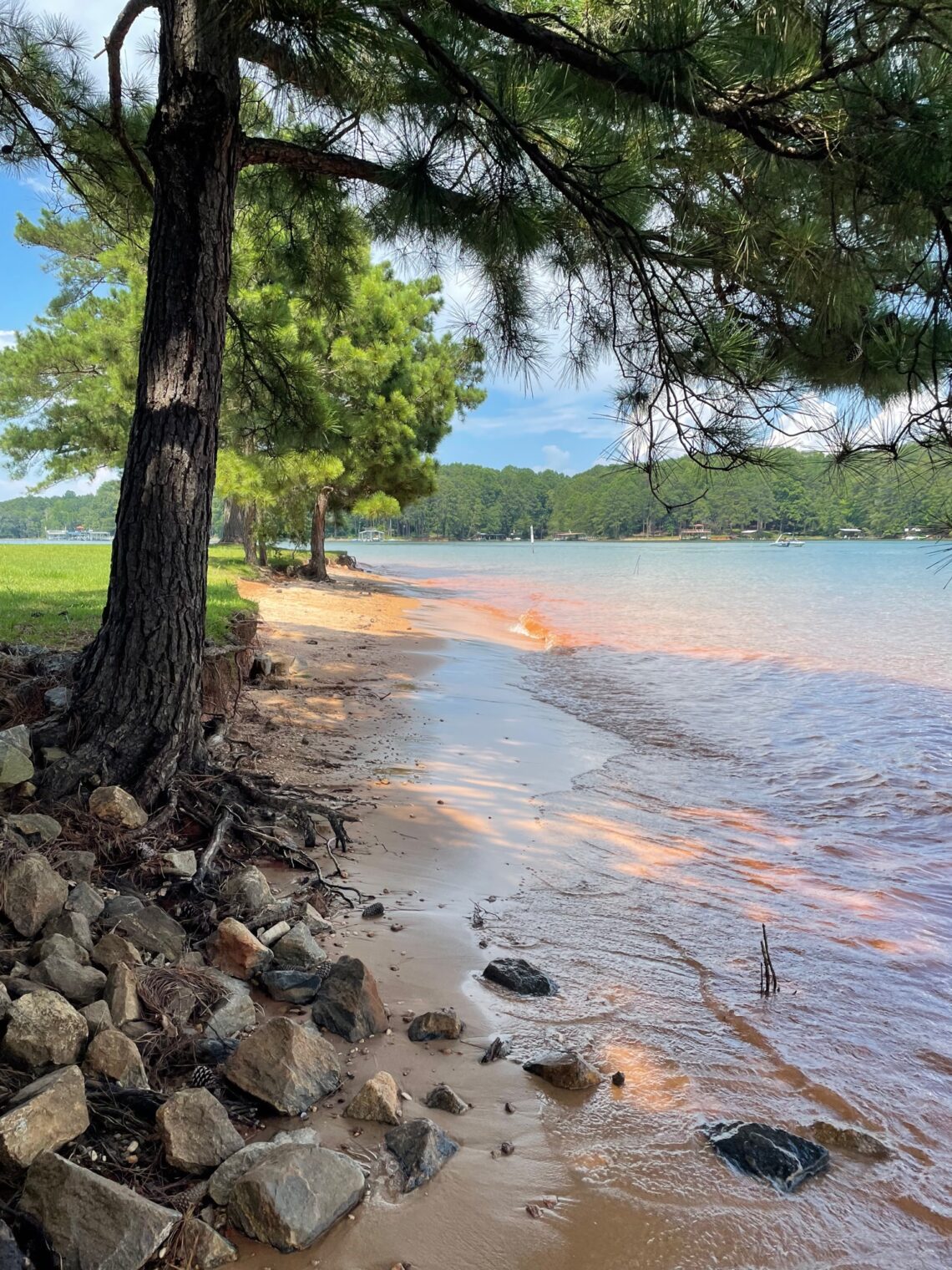 Bald Ridge Campground – 43 | Imagine Camper