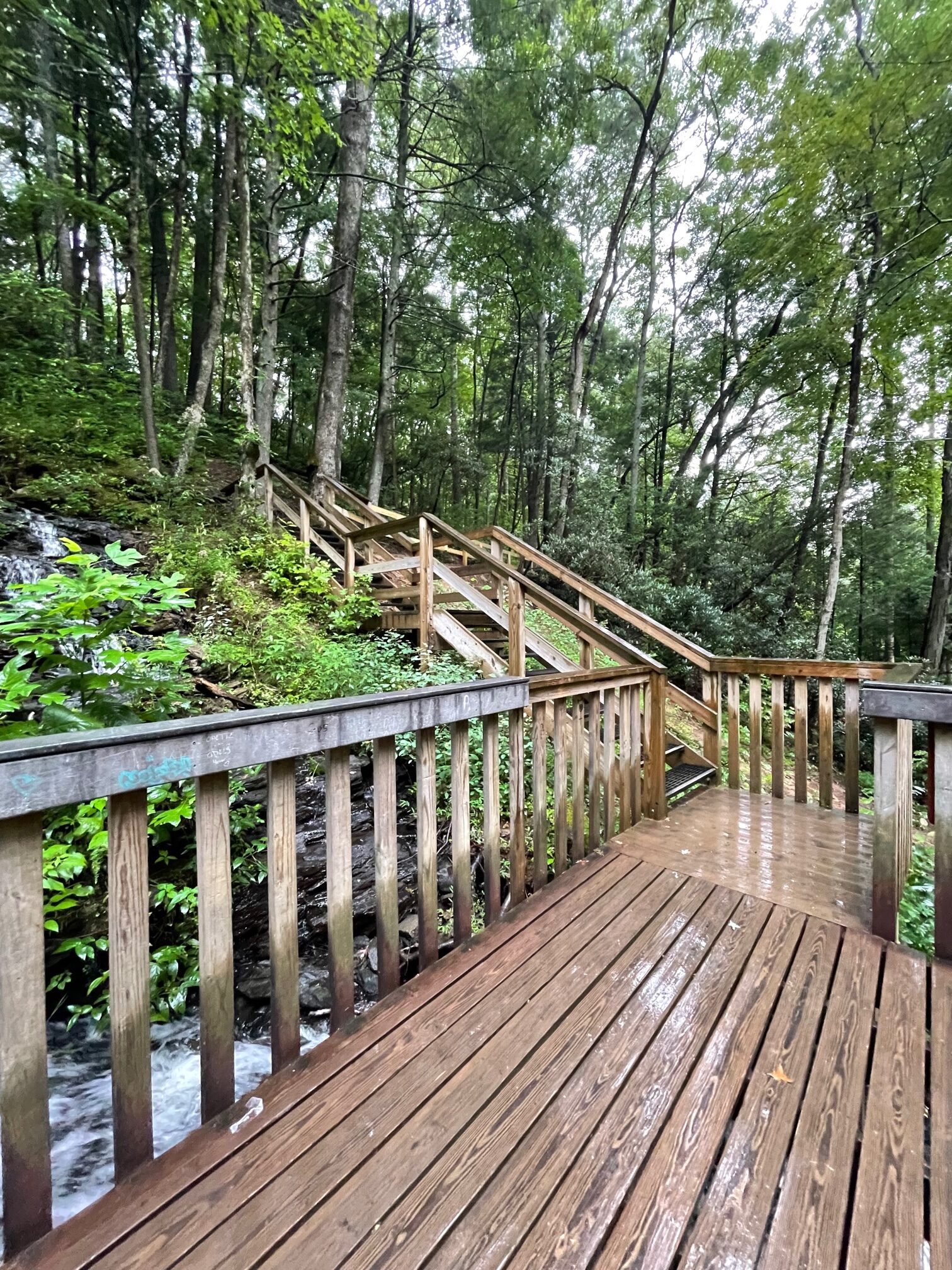 Vogel-State-Park-Trails | Imagine Camper