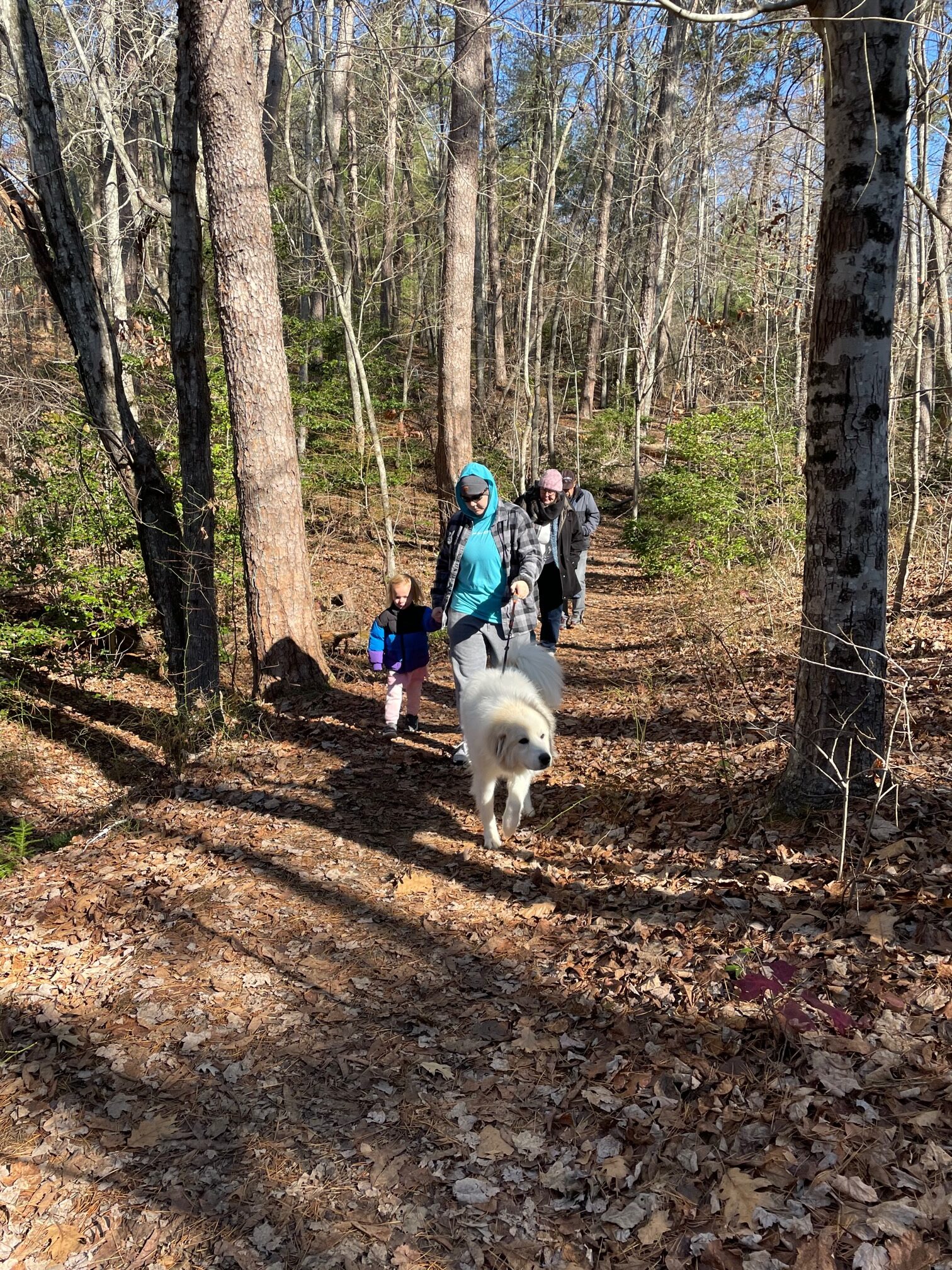 Waterside At Blue Ridge RV Resort- 108 - Imagine Camper