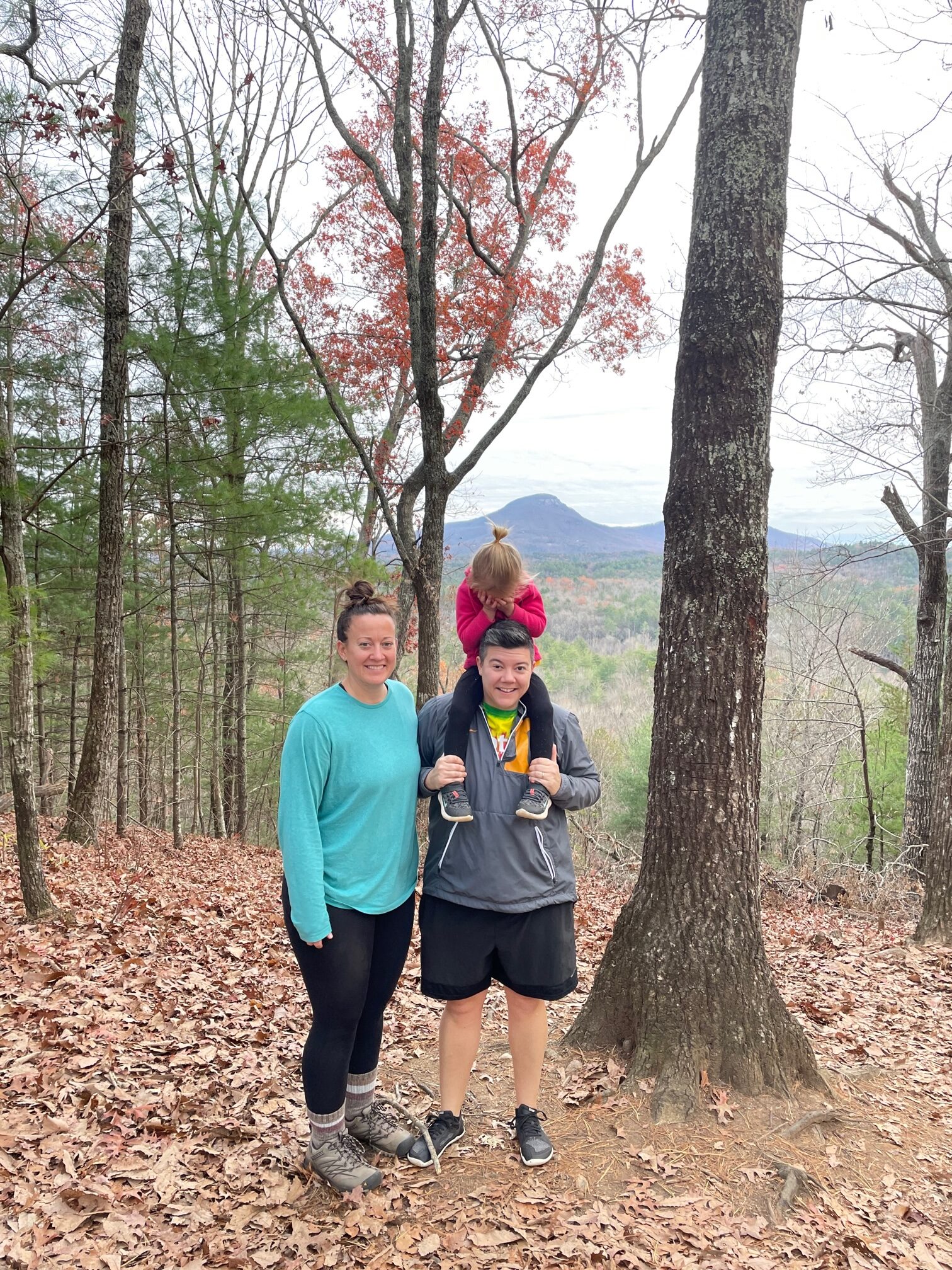 Meet the Seals | Imagine Camper