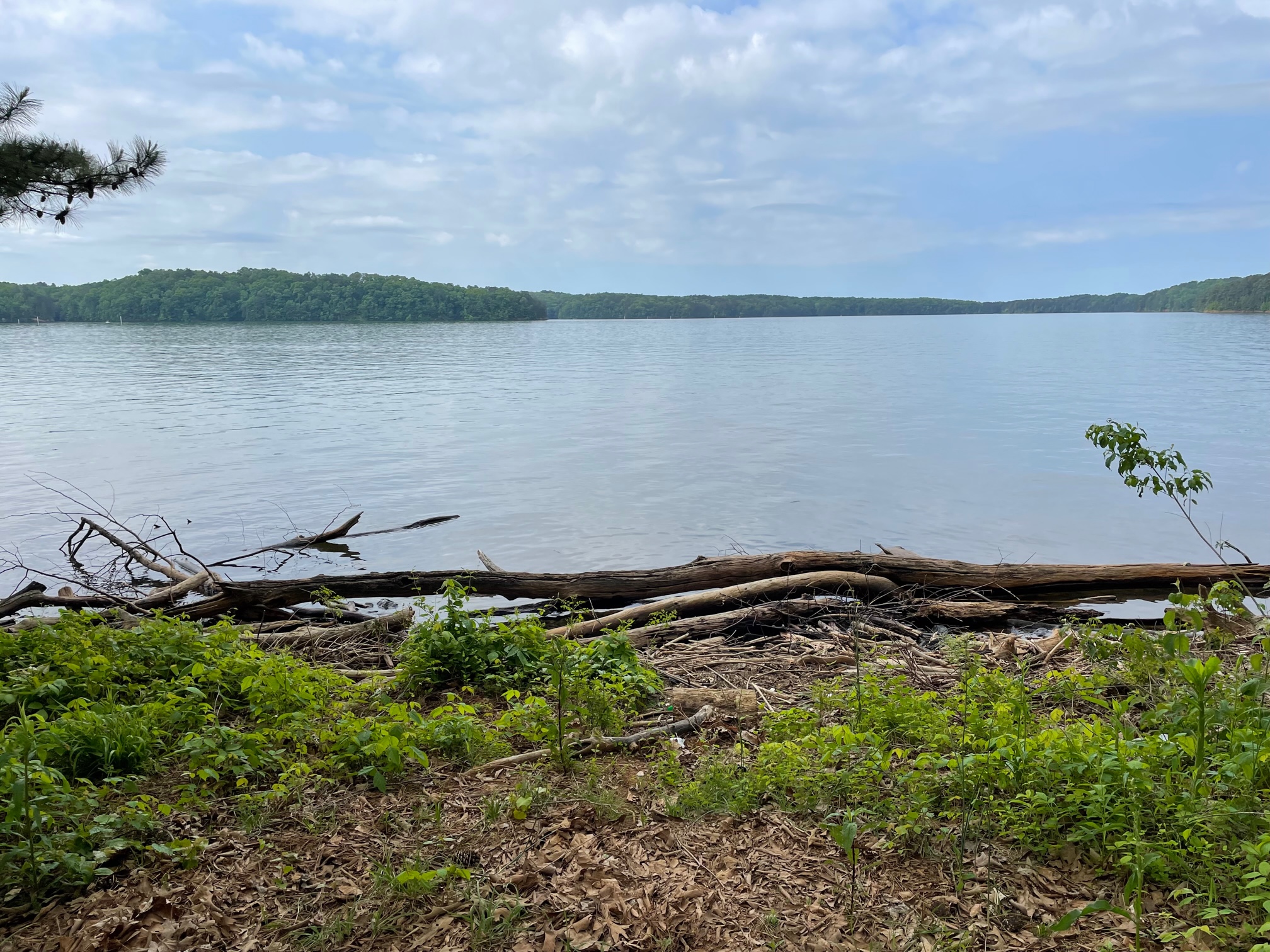 Sweetwater Campground – 38 | Imagine Camper