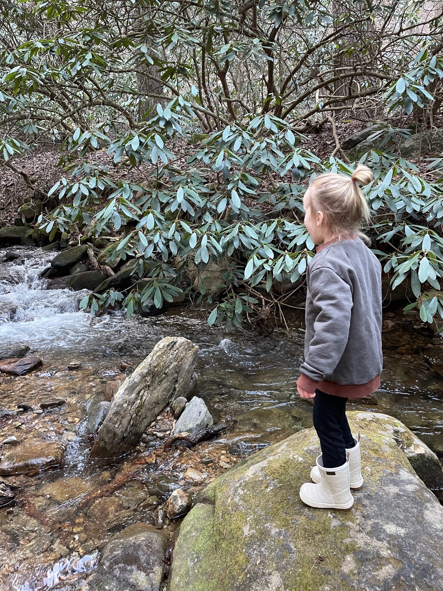 Vogel-State-Park-creek-keeping-the-littles-wild | Imagine Camper