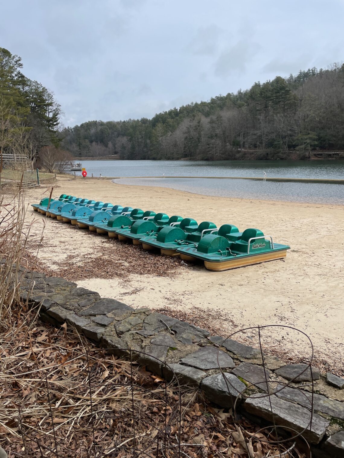 Vogel-State-Park-paddle-boats | Imagine Camper