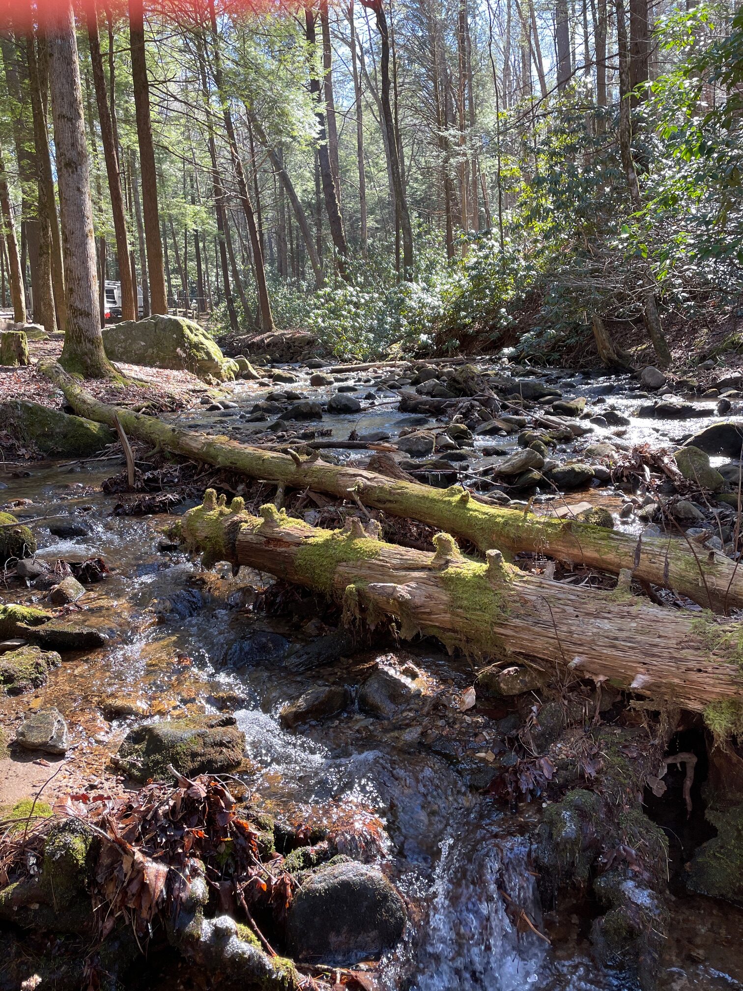 Vogel-State-Park-wolf-creek- | Imagine Camper