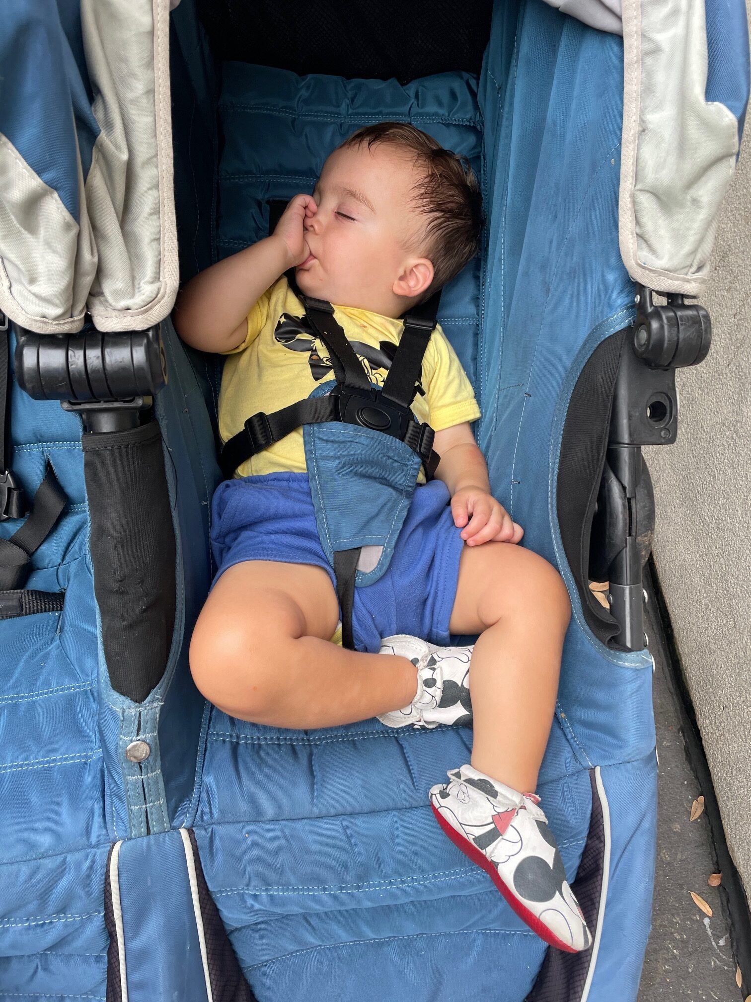 kingdom-stroller-rental | Imagine Camper