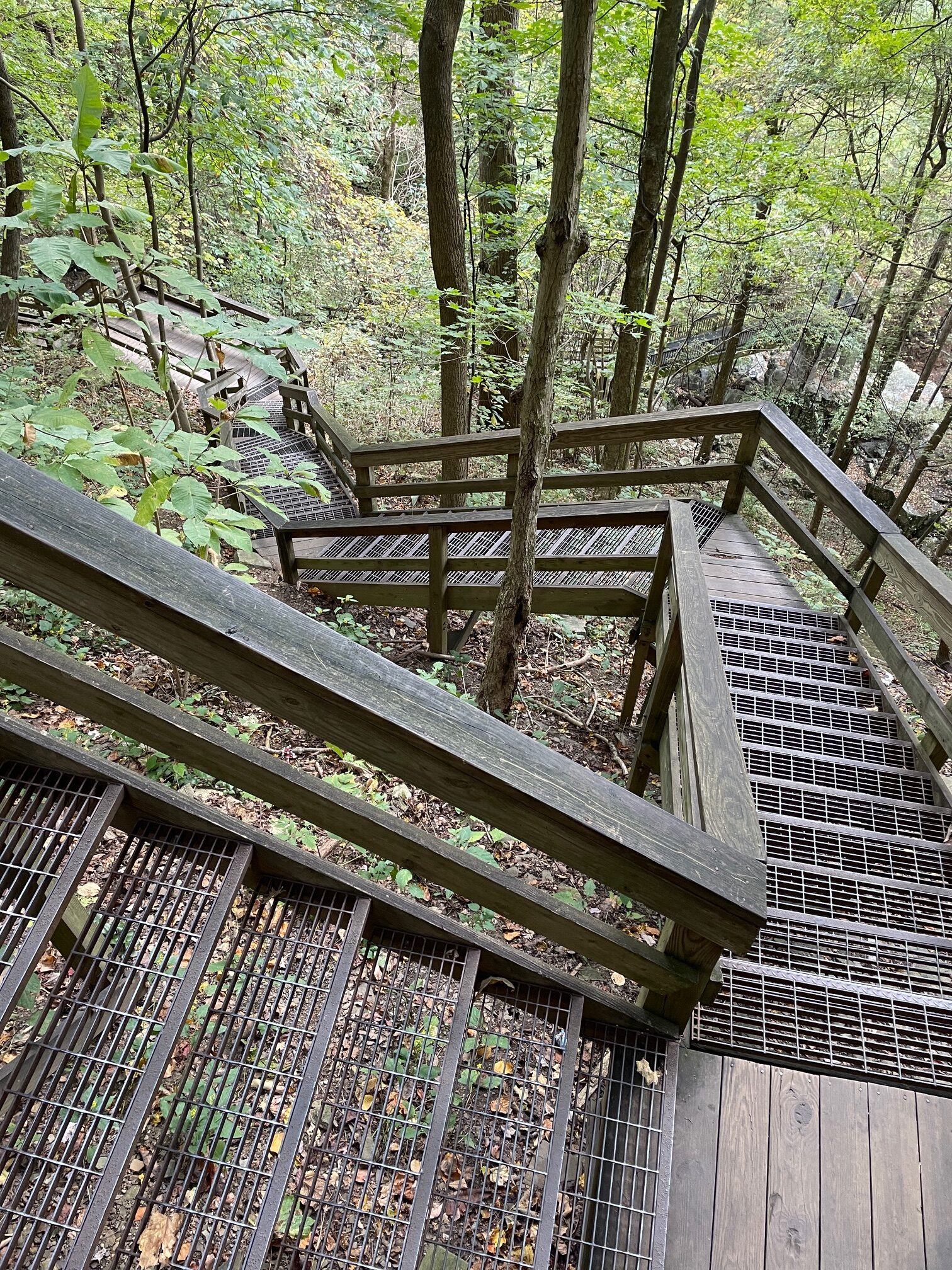 hemlock-falls-stairs-Cloudland-Canyon-State-Park | Imagine Camper