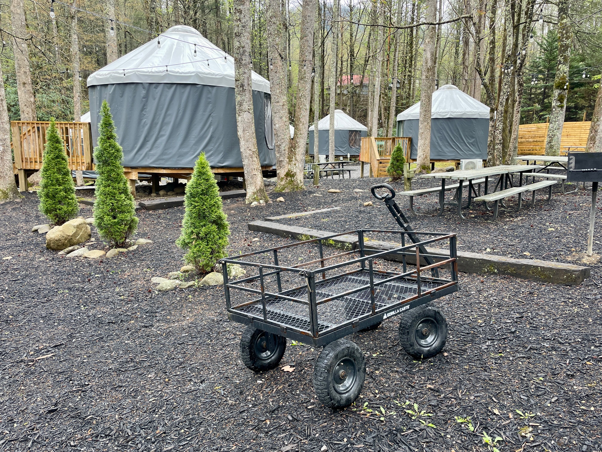 Roamstead-Smoky-Mountains-Campground-yurts-carts | Imagine Camper